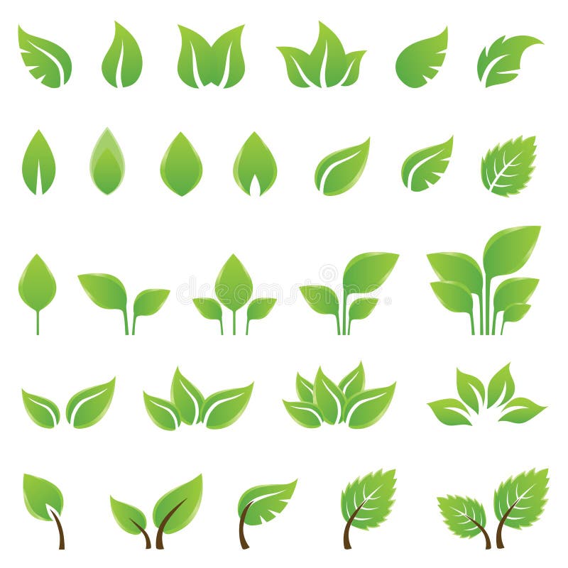 Set of Green Leaves Design Elements Stock Vector - Illustration of ...
