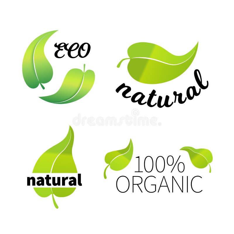 Set of Green Leaves, Eco Signs on White Stock Vector - Illustration of ...