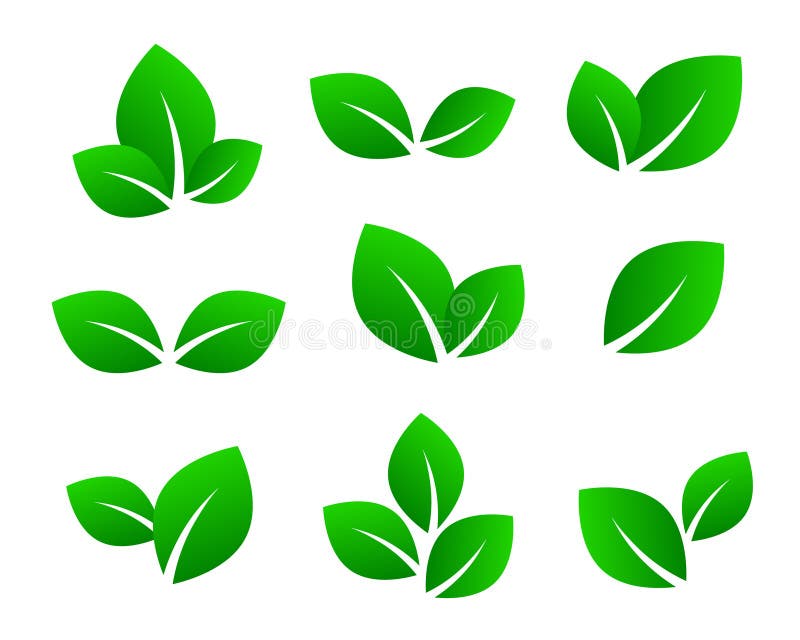 Set of Green Leaves Icons, Vector Illustration Stock Vector ...