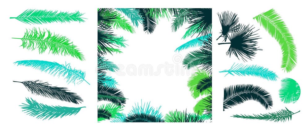 Set of Green Palm Tree Elements. Hand Drawing. Not AI. Vector ...