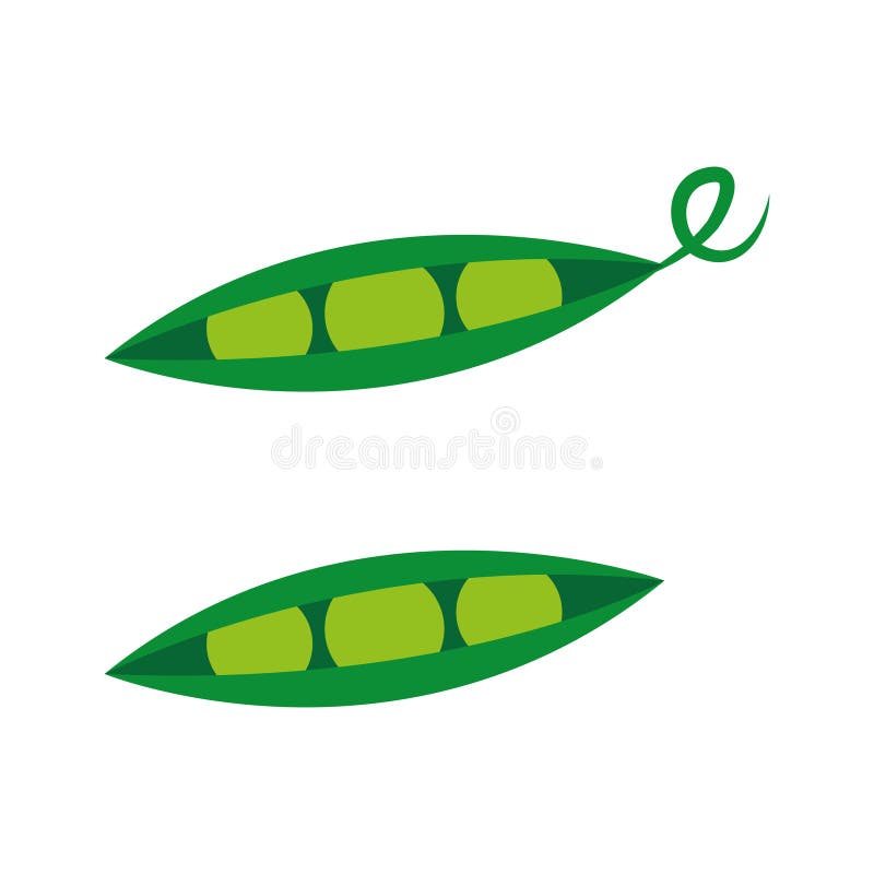 Peas stock vector. Illustration of agriculture, food - 274506105
