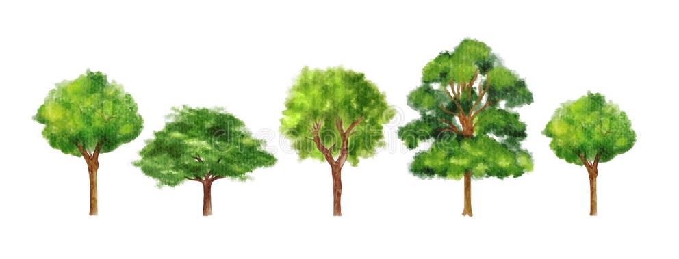 Set of Green Tree Watercolor Vector Illustration Stock Vector ...