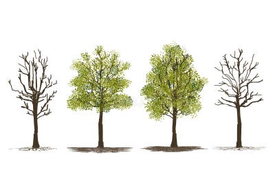 Set of Green Trees and Dead Trees, Vector Illustration Stock Vector ...