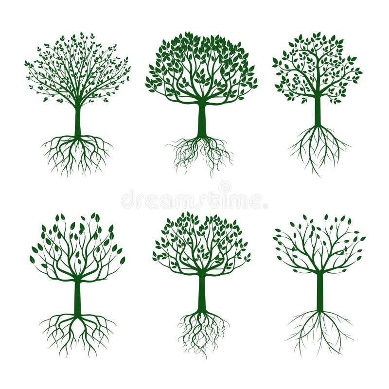 Set Green Trees with Roots. Stock Vector - Illustration of outline ...