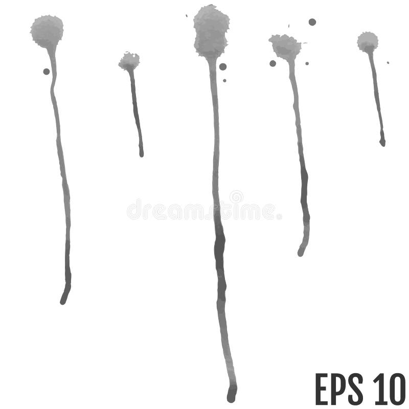 Set of Grey Splash on White Background Vector Illustration Stock Vector ...