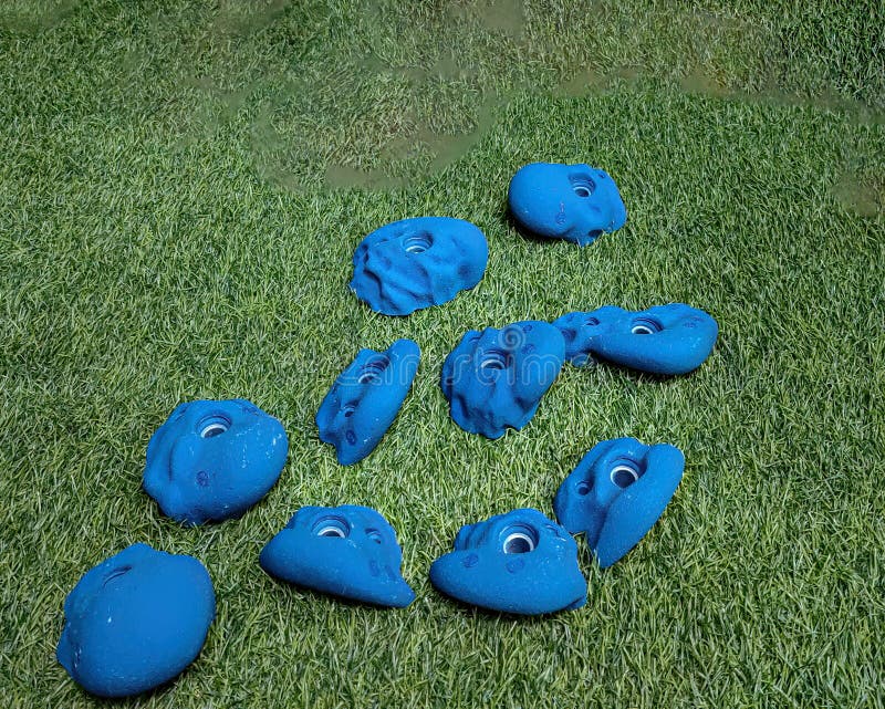 Set of Grips in Blue Color in Different Shapes for Climbing Wall on the ...