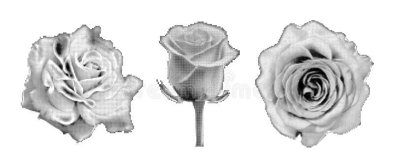 Set of Halftone Rose. Dots Texture Stock Vector - Illustration of ...