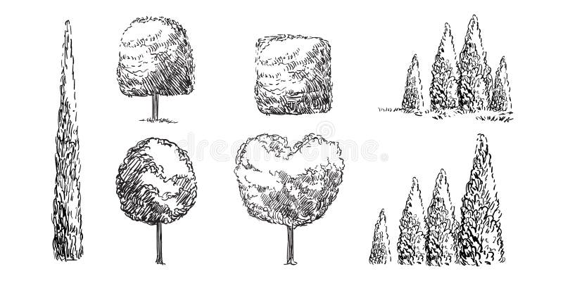 Set of Hand Drawing Trees Vector Illustration Stock Illustration ...