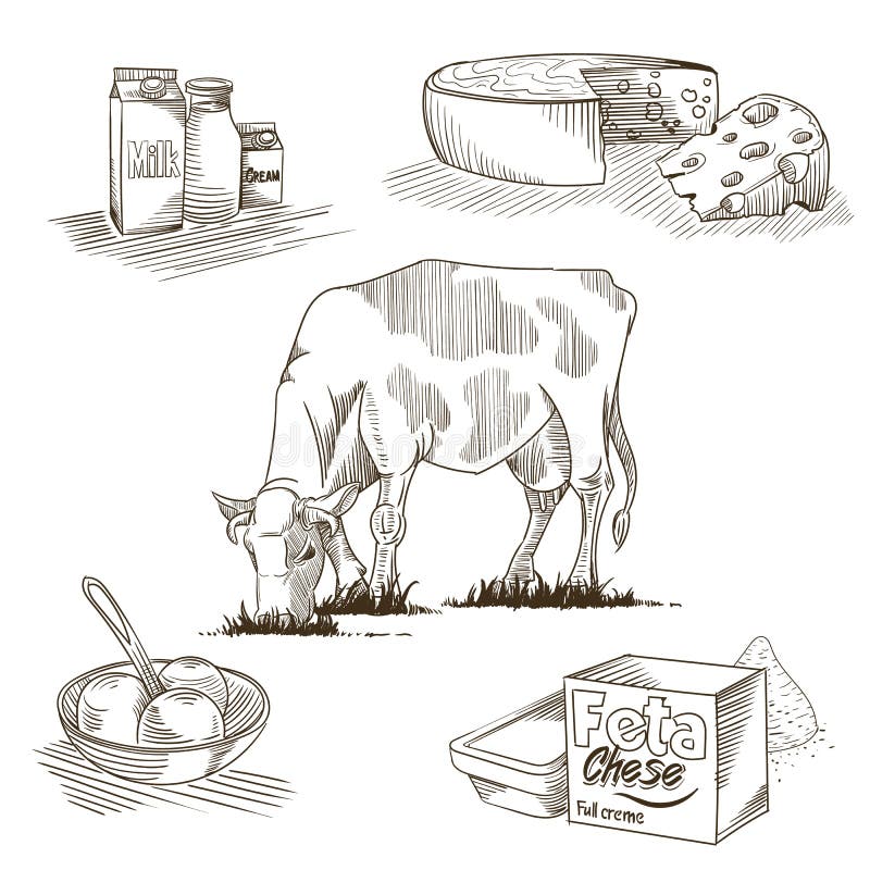 Set of Hand Drawings on Milk Theme. Stock Vector - Illustration of ...