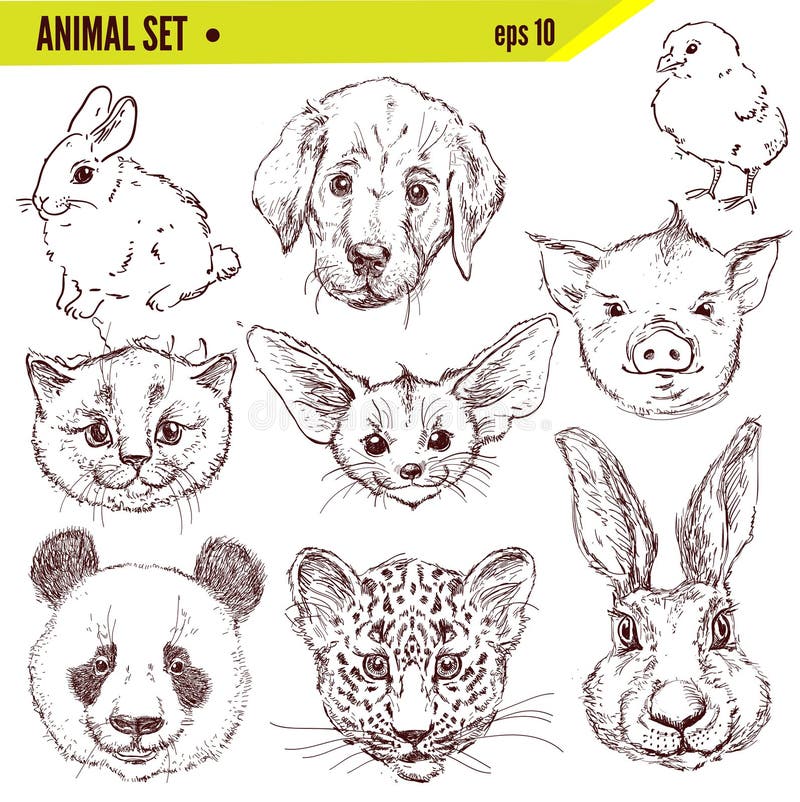 Set of Hand Drawn Animals, Vector Illustration Stock Vector ...