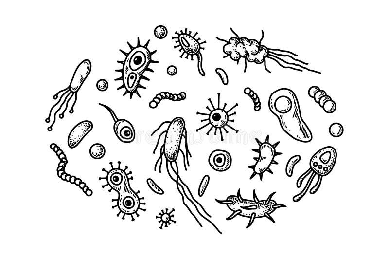 Set of Hand Drawn Bacterias and Microorganisms. Vector Illustration in ...