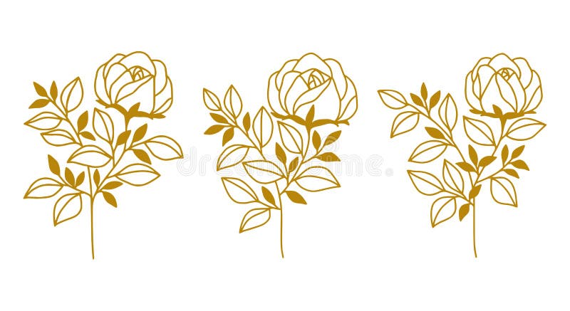 Set of Hand Drawn Botanical Gold Rose Flower and Leaf Elements Stock ...