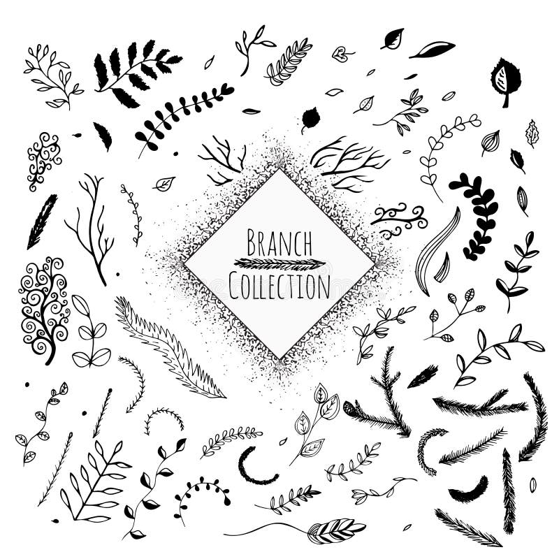 Set of Hand Drawn Branches. Ink Illustration. Stock Illustration ...
