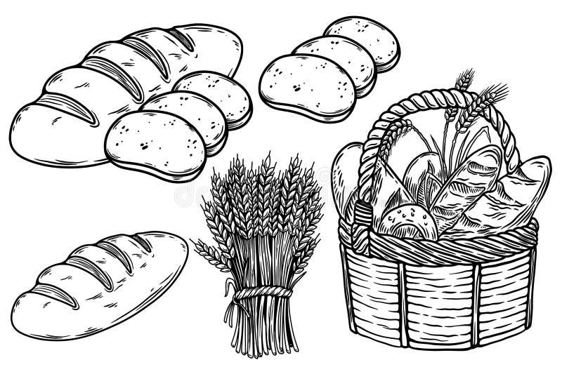 Set of Hand Drawn Bread Design Elements. Bakery Stock Illustration ...