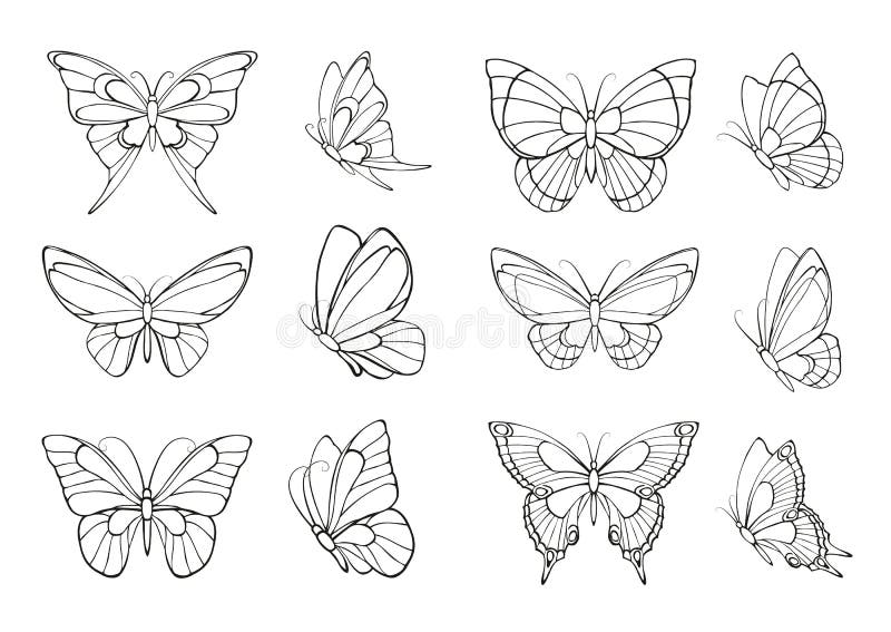 Set of Hand Drawn Butterflies Stock Vector - Illustration of collection ...