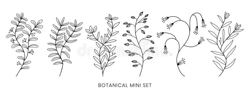 Set Hand Drawn Curly Grass and Flowers on White Background. Botanical ...