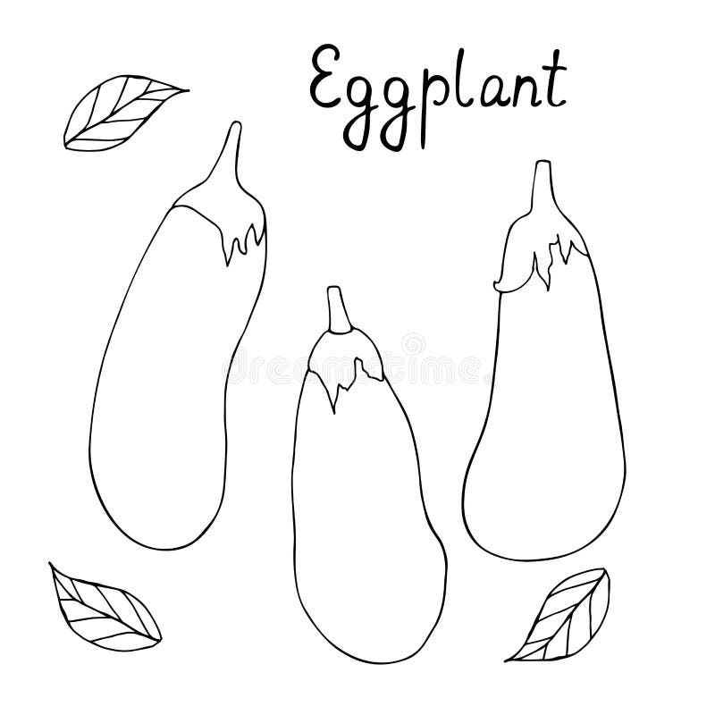 Set with Hand Drawn Doodle of Eggplants. Linear Black Drawing Stock Vector - Illustration of ...