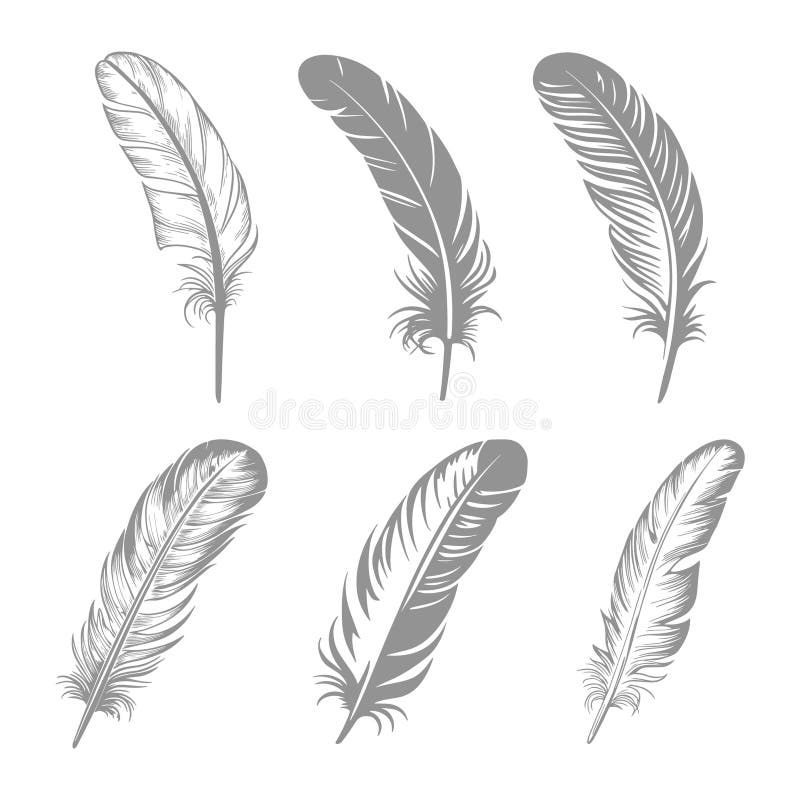 Set of Hand Drawn Feather Illustrations Stock Illustration ...