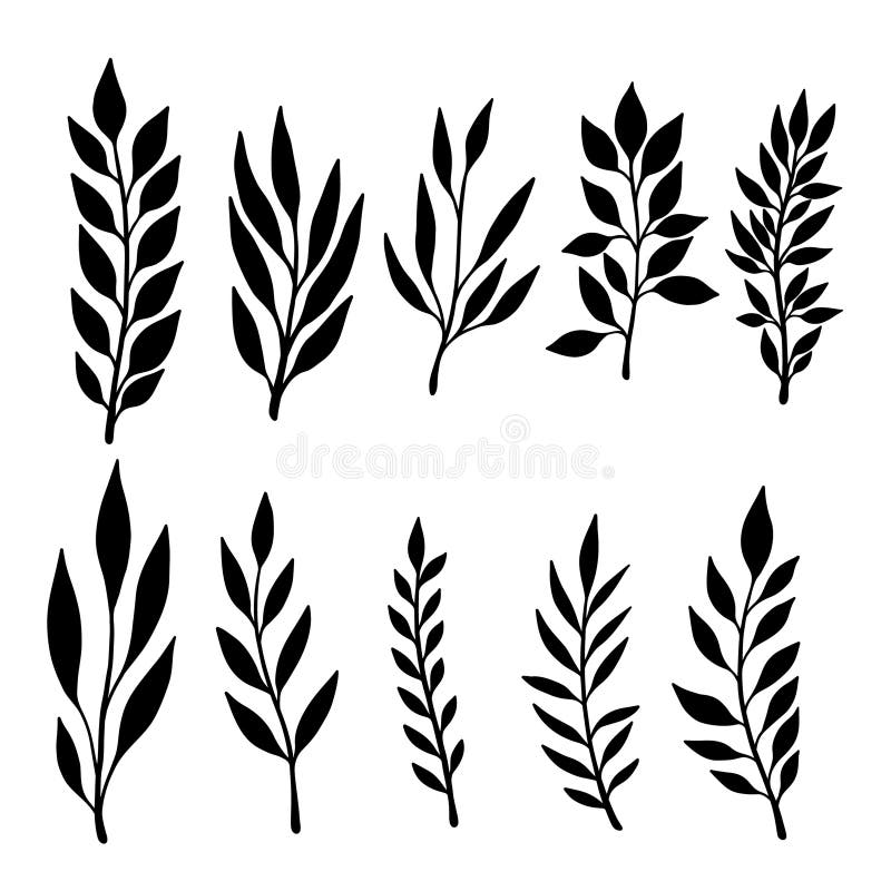 Set of Hand Drawn Floral Branches. Design Element for Decoration Stock ...