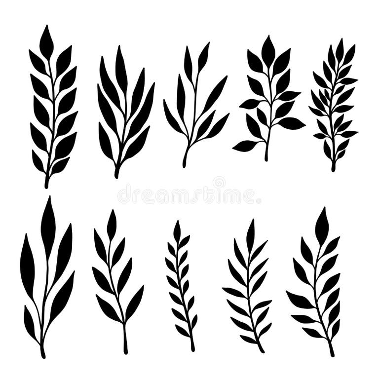 Set of Hand Drawn Floral Branches. Design Element for Decoration Stock ...