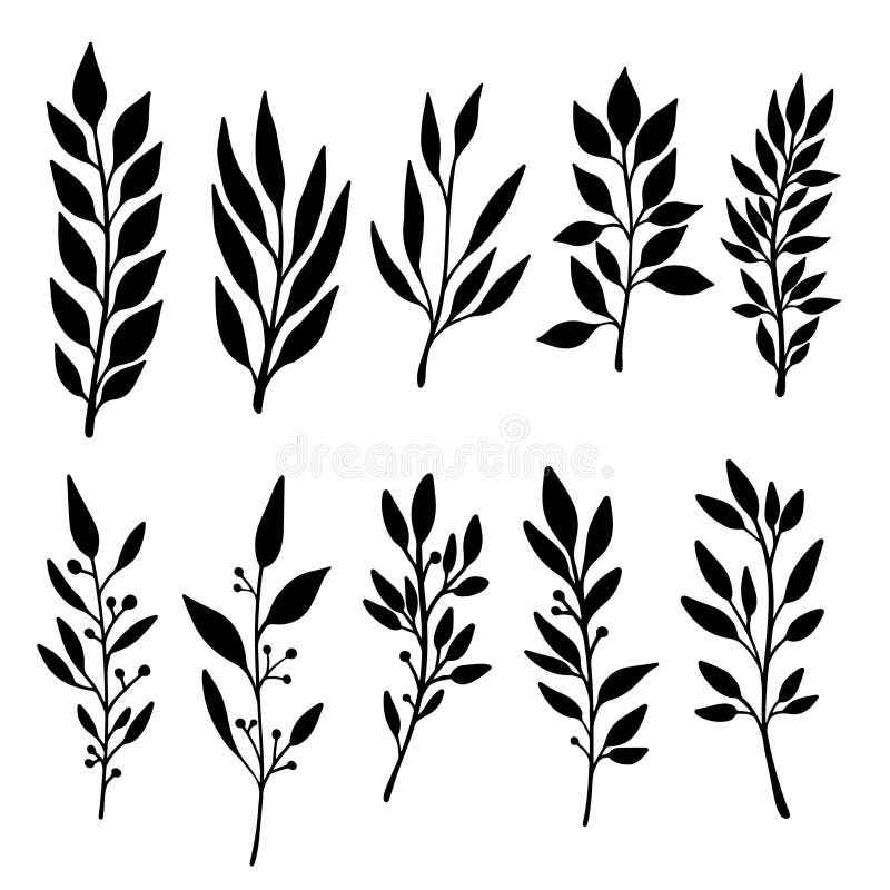 Set of Hand Drawn Floral Branches. Design Element for Decoration Stock ...