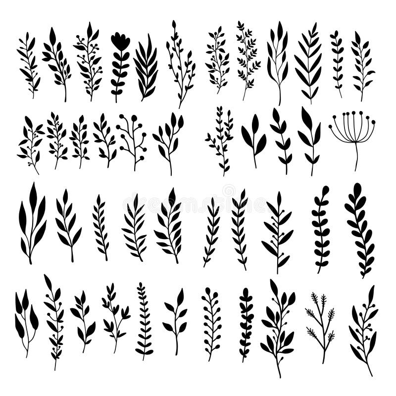 Set of Hand Drawn Floral Branches. Design Element for Decoration Stock ...