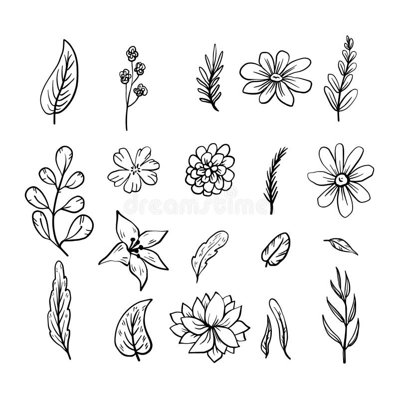 Set of Hand Drawn Flowers Vector Illustration. Stock Vector ...