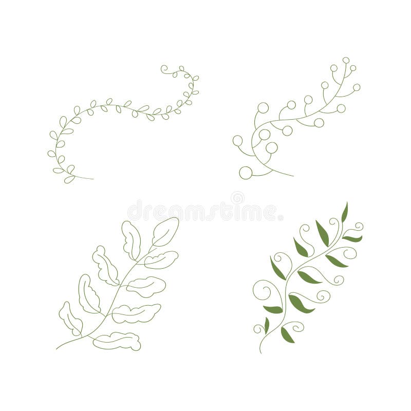 Set of Hand Drawn Leaf Branch Flower with Different Shape Stock Vector ...