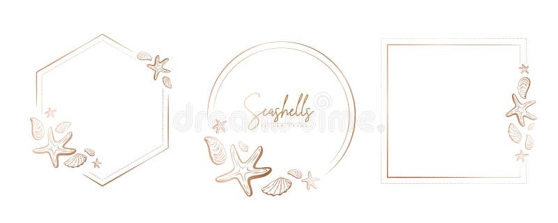 Shells Line Art Stock Illustrations – 3,115 Shells Line Art Stock ...