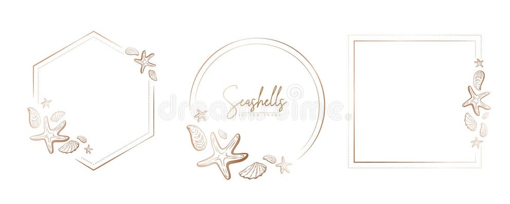 Shells Line Art Stock Illustrations – 3,115 Shells Line Art Stock Illustrations, Vectors ...