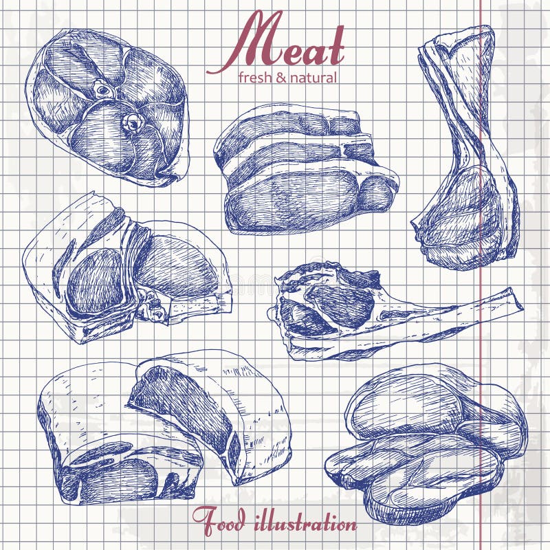 Set of Hand Drawn Meat on White Background Stock Vector - Illustration ...
