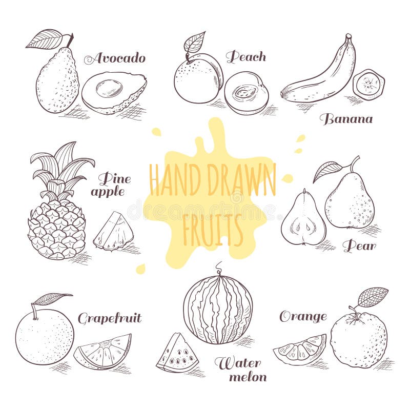 Outline Fruits Stock Illustrations – 23,886 Outline Fruits Stock ...