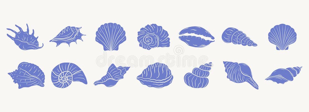 Set of Hand-drawn Seashells. Tropical Beach Shells. Summer Vacation ...