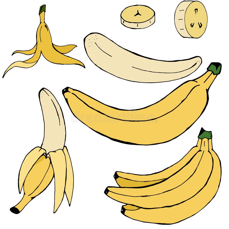 Set of Hand-drawn Simple Colored Bananas Stock Vector - Illustration of ...