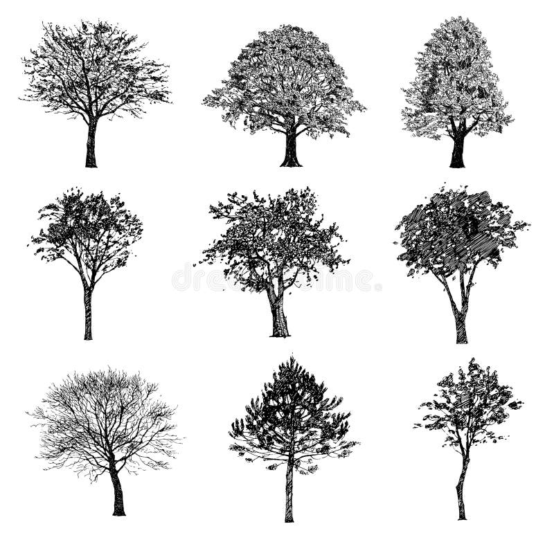 Set of hand drawn trees. stock vector. Illustration of design - 47607633