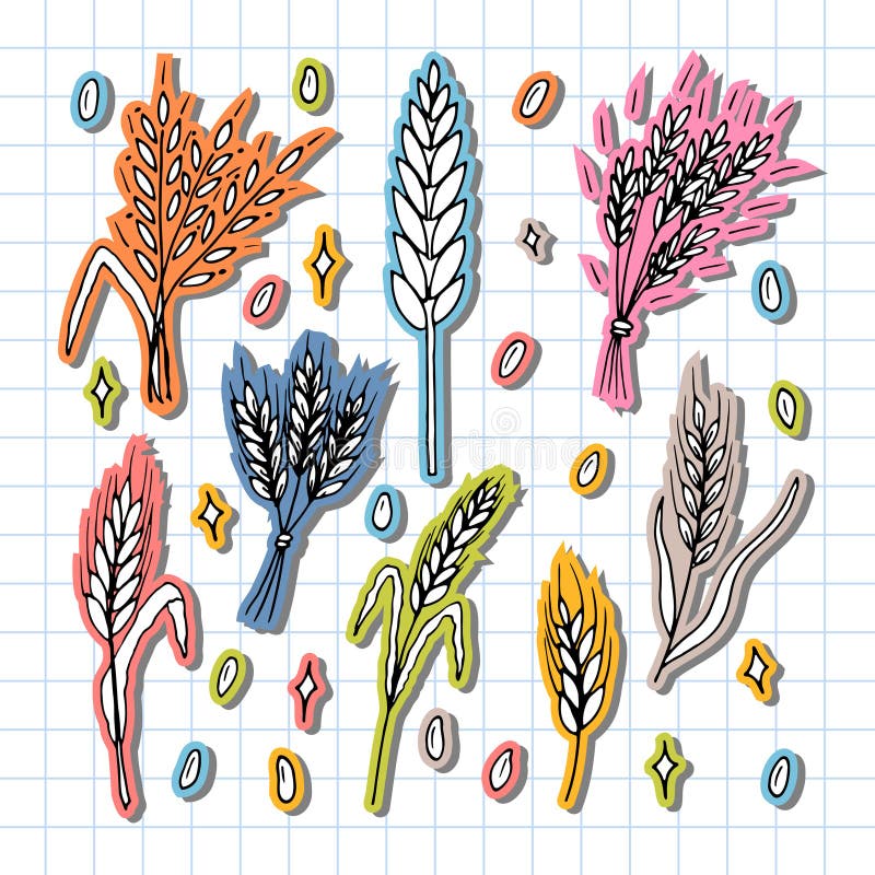Set of Hand Drawn Wheat Ears. Grain Spikelets. Doodle, Sketch. Bakery ...