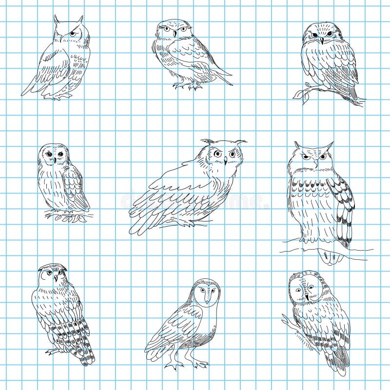 Set of Hand-painted Owls on a Notebook Sheet Stock Vector ...