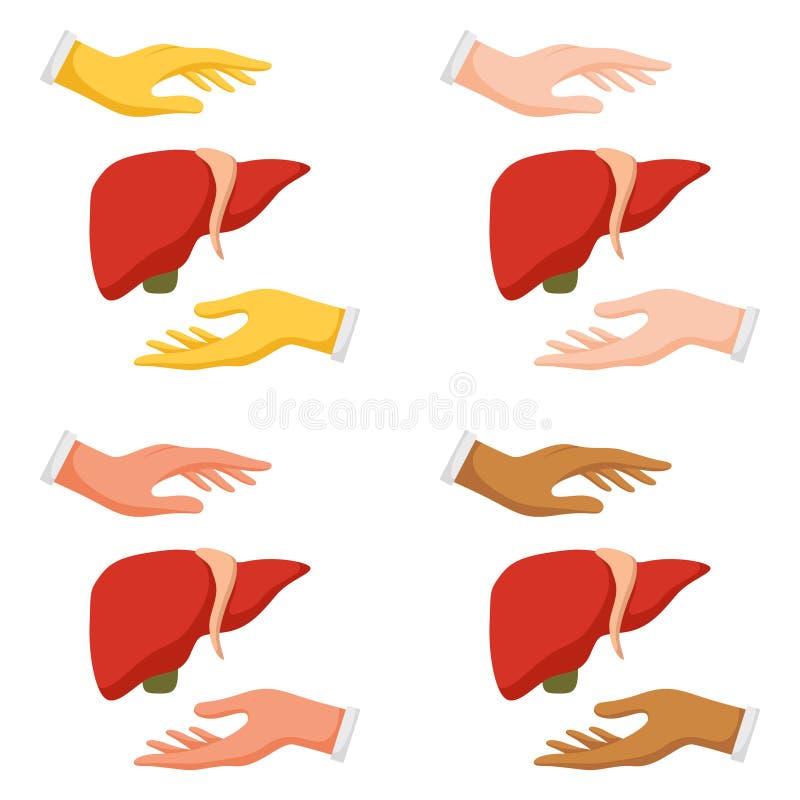 Set of Hands Gestures with Liver Stock Vector - Illustration of hands ...