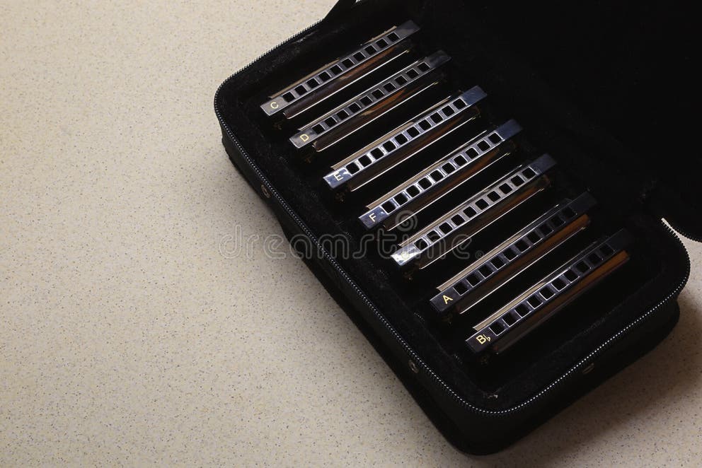 Set of Harmonicas stock photo. Image of vintage, structure - 204558470