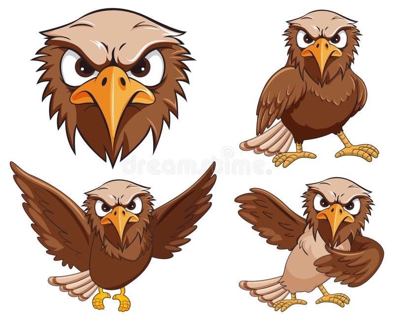 Set of hawk bird cartoon stock vector. Illustration of feathers - 280254409