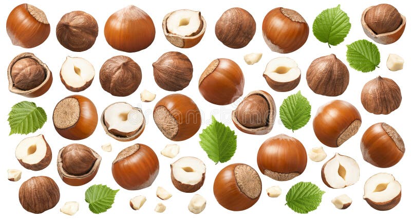 Set of Hazelnuts, Green Leaves and Small Nut Pieces Isolated on White ...