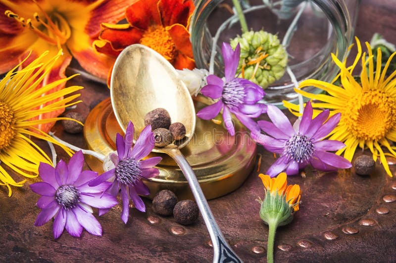 Set with healthy herbs stock image. Image of medical - 97007021