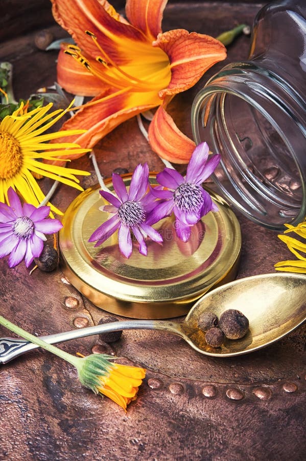 Set with healthy herbs stock photo. Image of calendula - 97007026