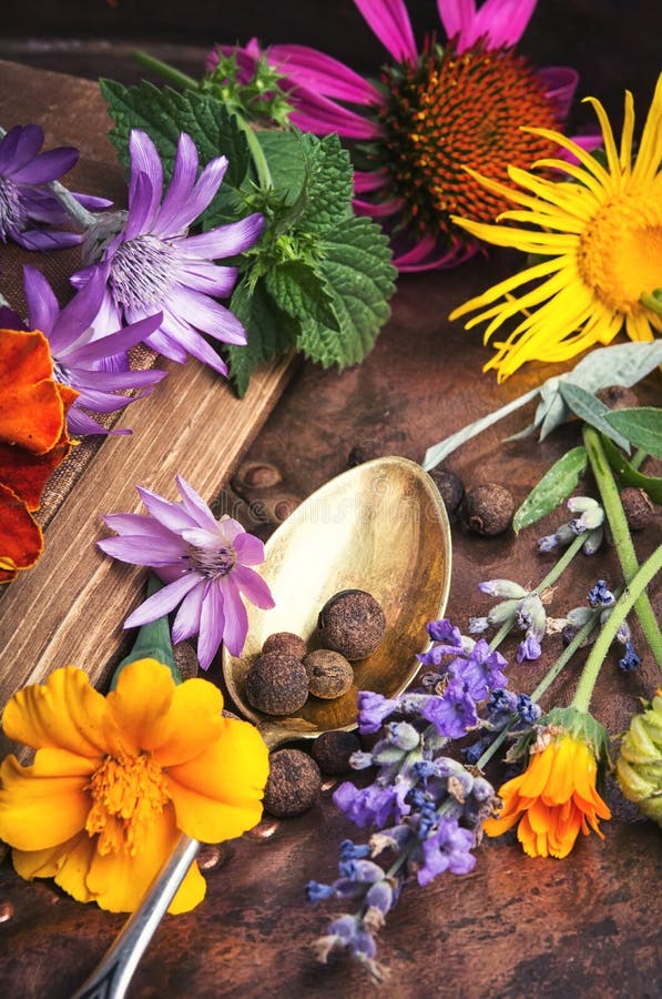 Set with healthy herbs stock image. Image of pharmaceutical - 97044683