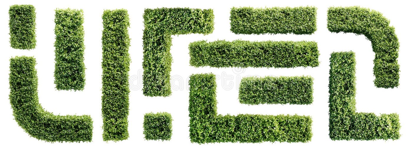 Hedge Top View Stock Illustrations – 441 Hedge Top View Stock ...