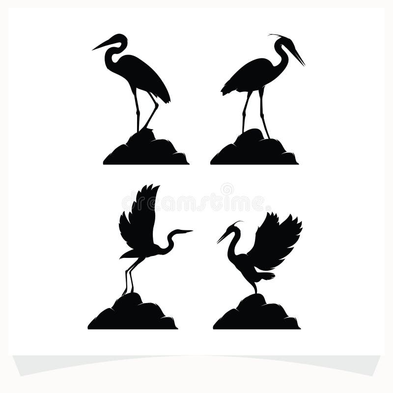 Cygnet Cartoon Stock Illustrations – 44 Cygnet Cartoon Stock ...