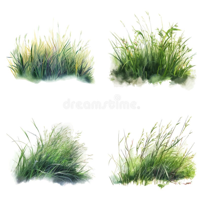 Set of a High Detailed Watercolor Element of Grass. Made with AI Stock ...