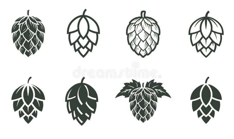 Set of Hops Flower. Silhouette of Hops for Beer Logo Stock Vector ...