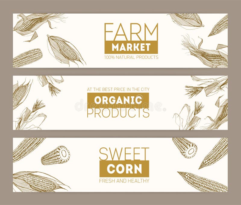 Set of Horizontal Banners with Realistic Cobs of Sweet Corn or Corncobs ...