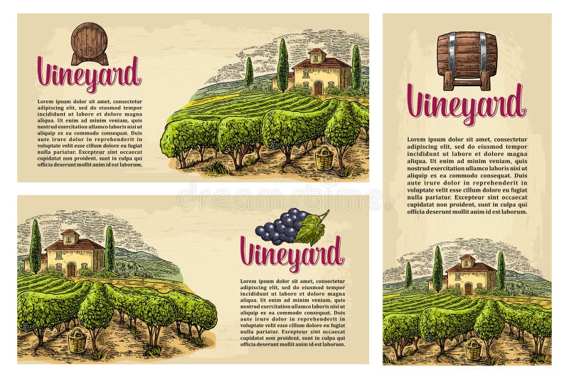 Set Horizontal, Vertical and Square Posters or Labels for Wine. Stock ...